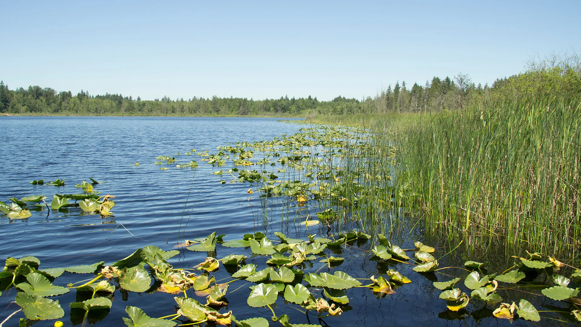Lake Stevens Property Management | SJA Property Management